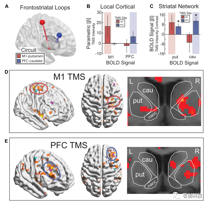 同步TMS-fMRI研究脑功能网络的指南 - 知乎