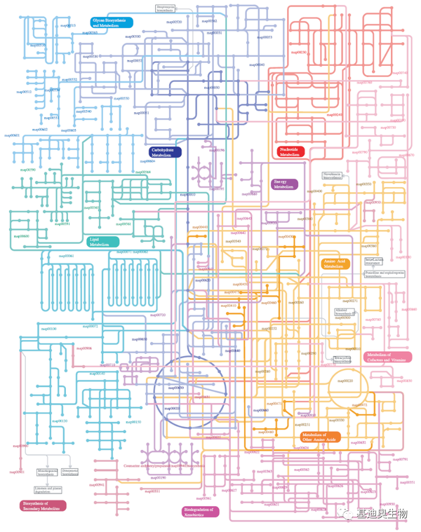 想了解KEGG数据库？一起来“考古” - 知乎