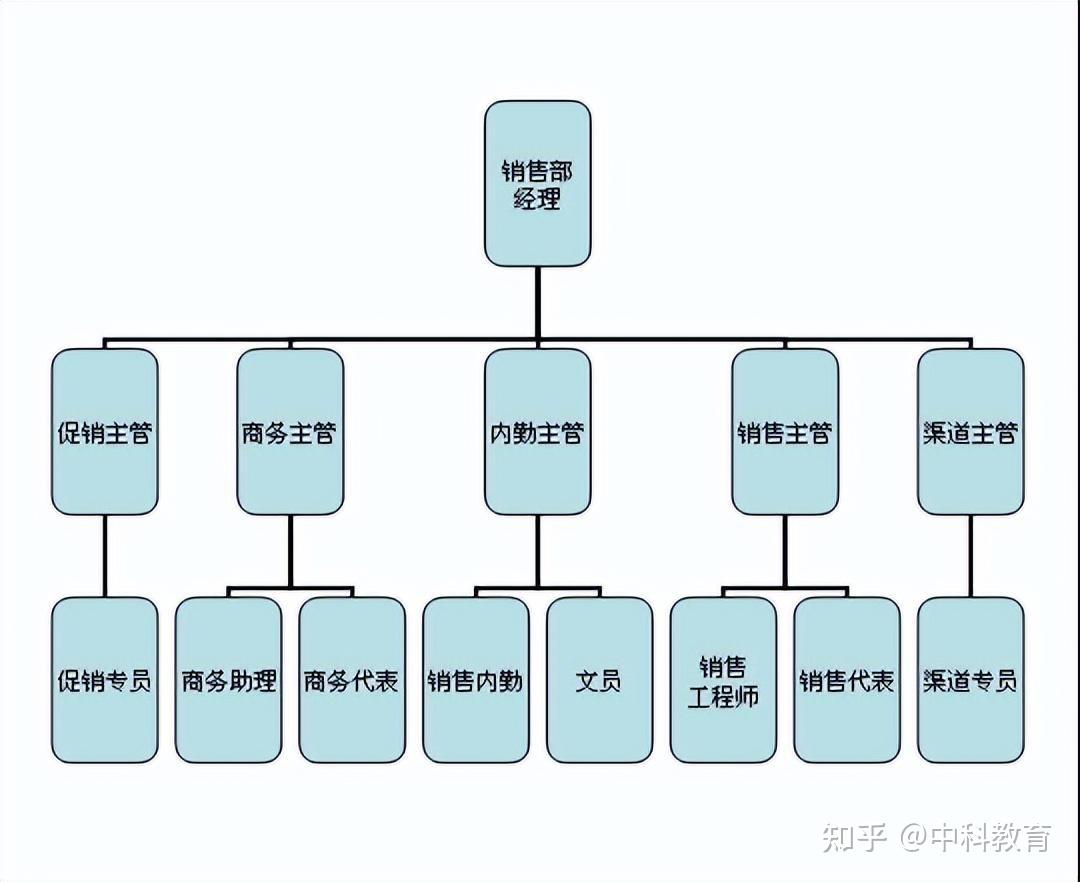 企业组织结构的基本类型 - 知乎