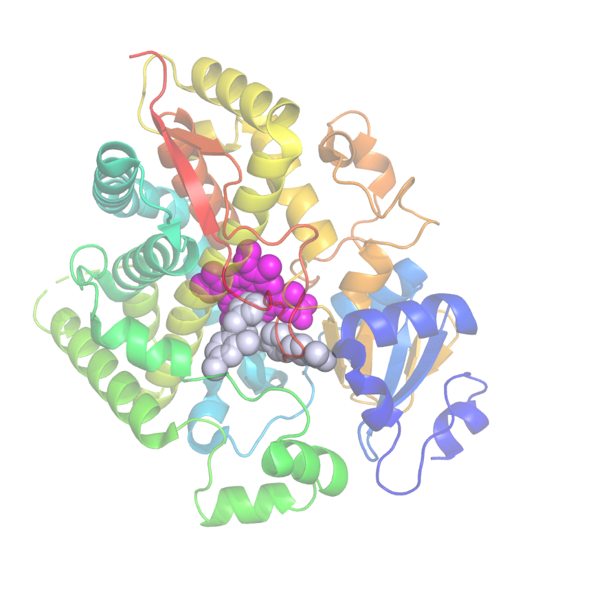 药物代谢之细胞色素酶CYP450 - 知乎
