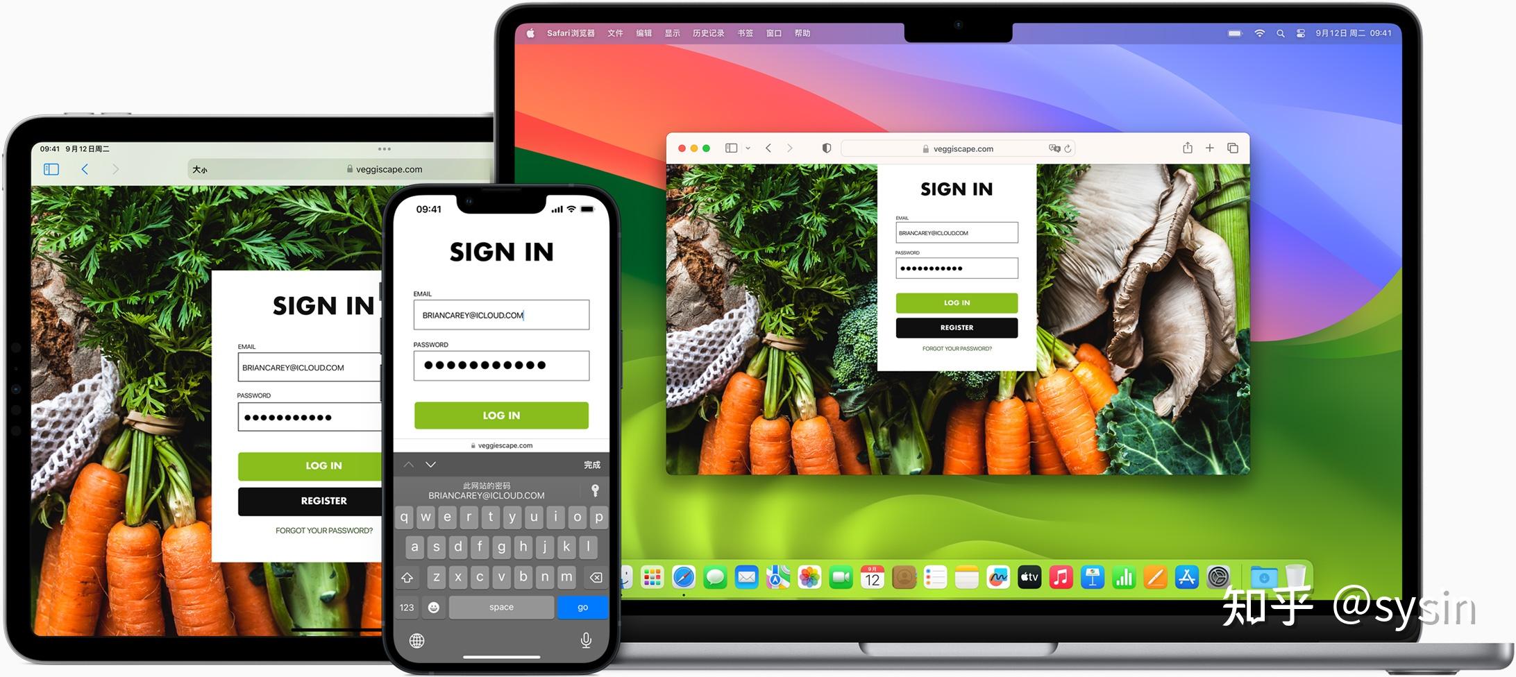 Apple Safari 17.2 - macOS 专属浏览器 (独立安装包下载) - 知乎