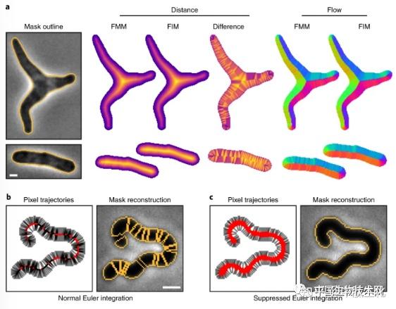 Nature子刊：深度学习算法可以在显微镜图像中识别出各种细菌 - 知乎