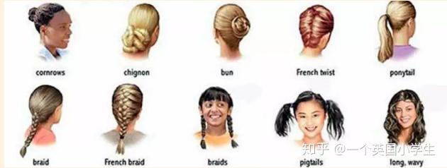 各种发型的英文表达 Hairstyle in English - 知乎