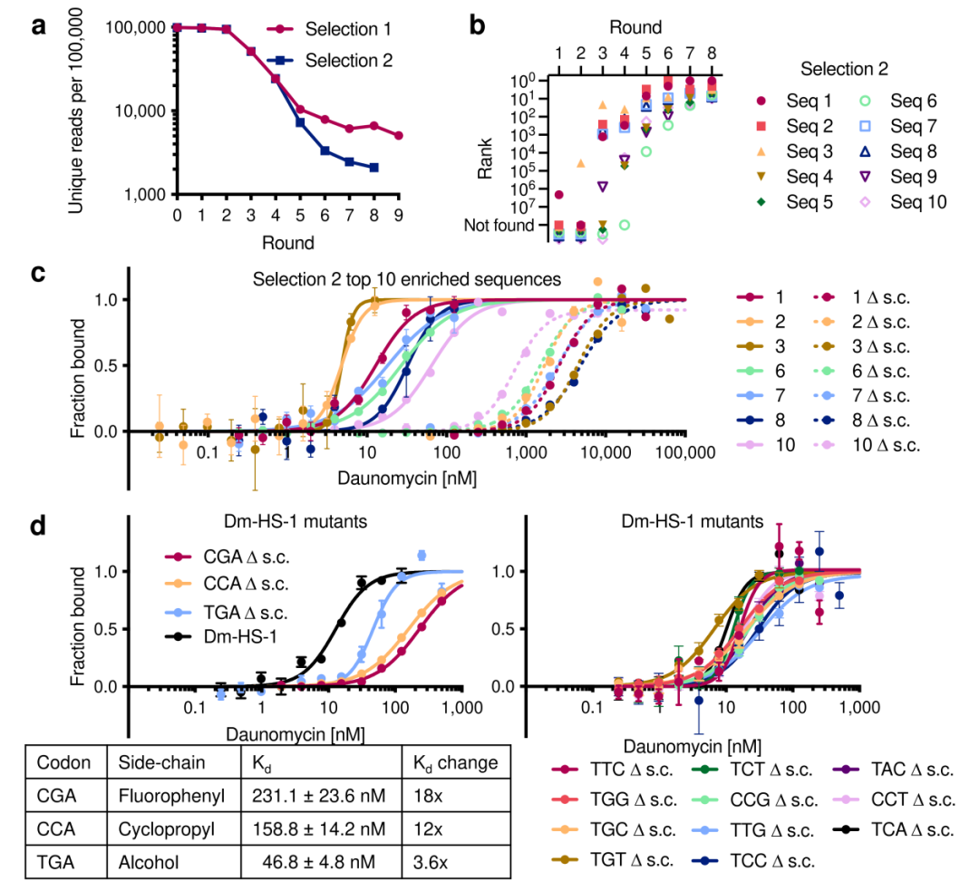 Nat. Commun. | 核酸聚合物生成，机器学习来帮忙 - 知乎
