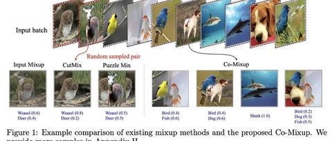 数据增强黑科技Mixup：9篇顶会论文带你了解Mixup发展脉络 - 知乎