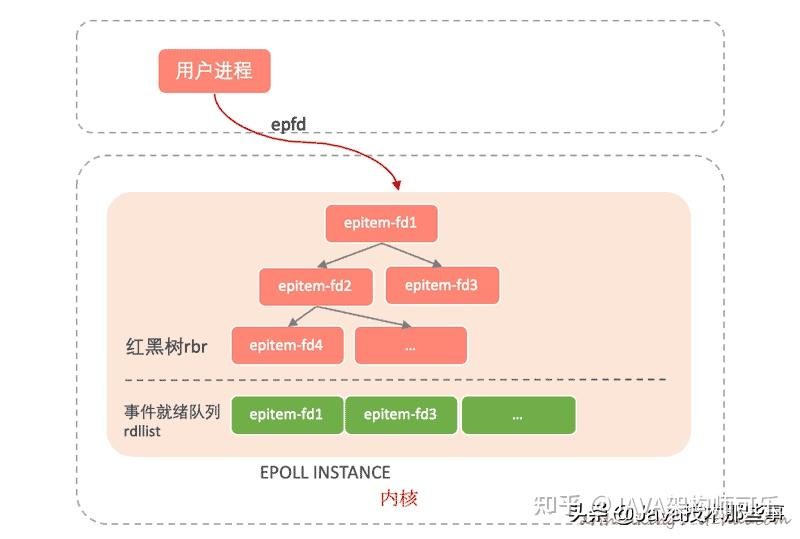 彻底弄懂IO复用：深入了解select，poll，epoll - 知乎