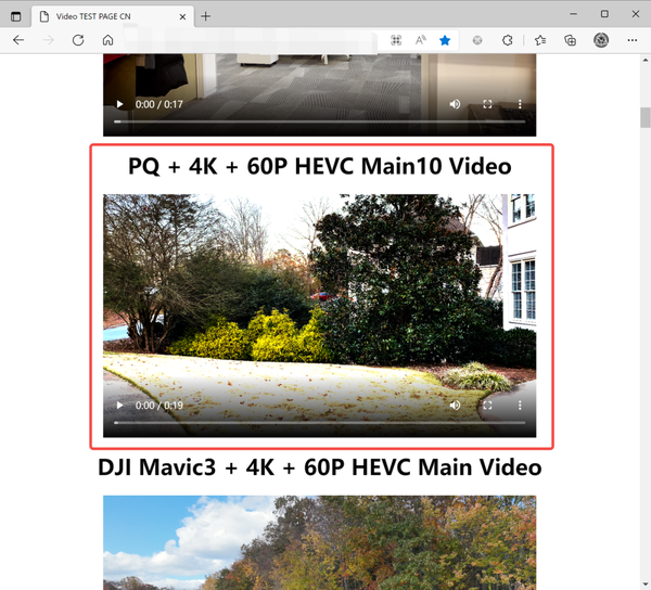 8K HDR!｜为 Chromium 实现 HEVC 硬解 - 原理/实测指南 - 知乎