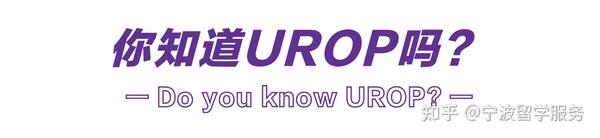 UROP | 作为本科生，如何进行科研入门？ - 知乎