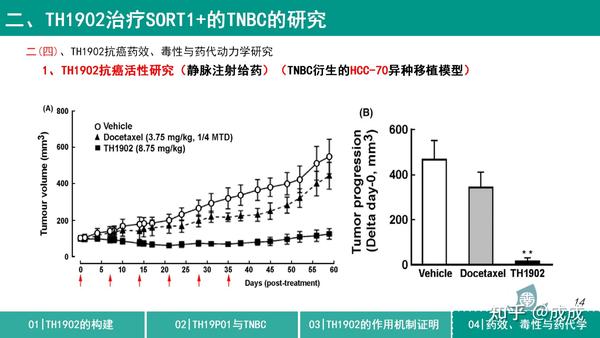 文献解读| TH1902，一种新的多西他赛肽偶联物，用于治疗sortilin阳性的三阴性乳腺癌 - 知乎