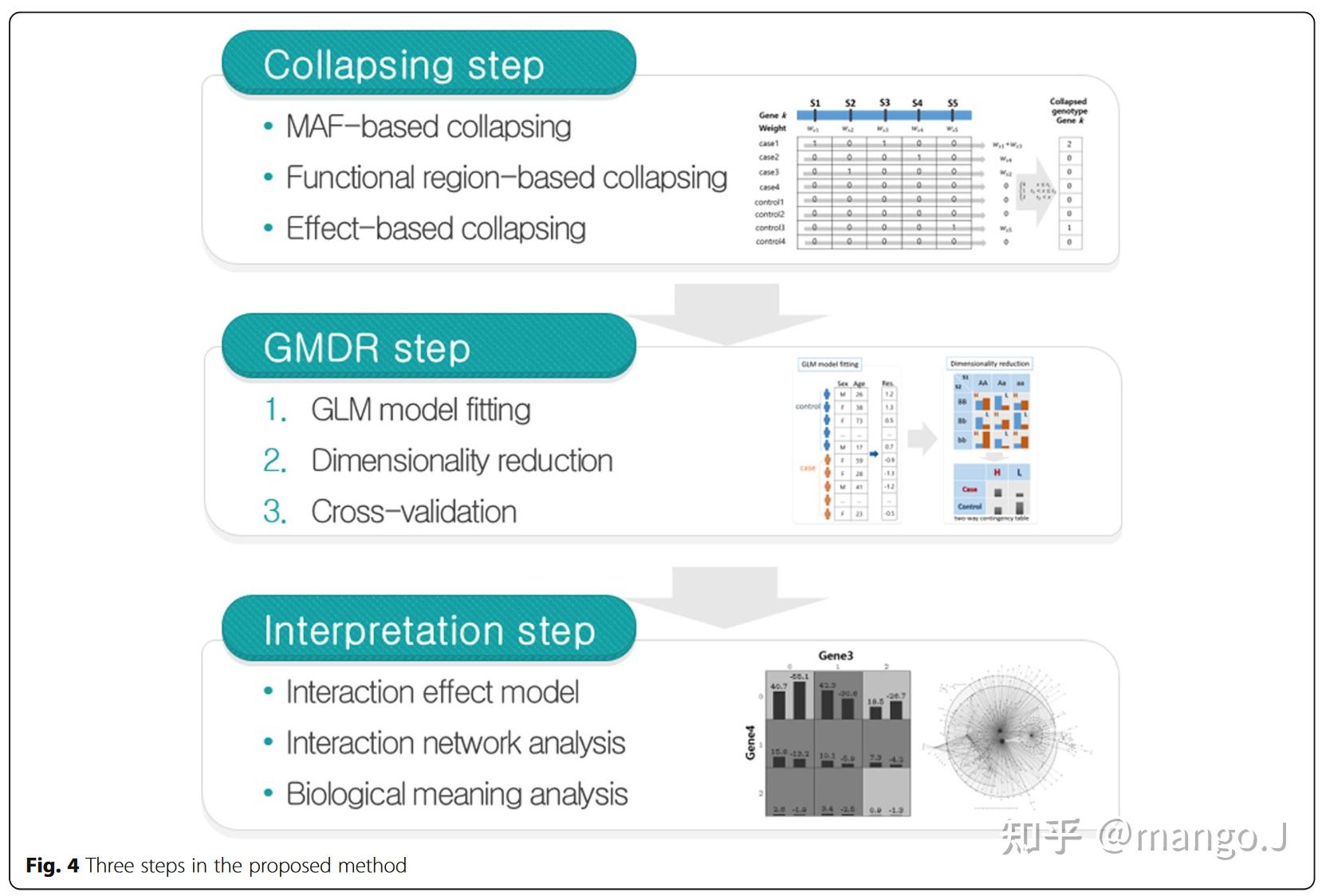 【学习笔记】GxGrare:基于GMDR对罕见变异进行基因-基因相互作用分析 - 知乎