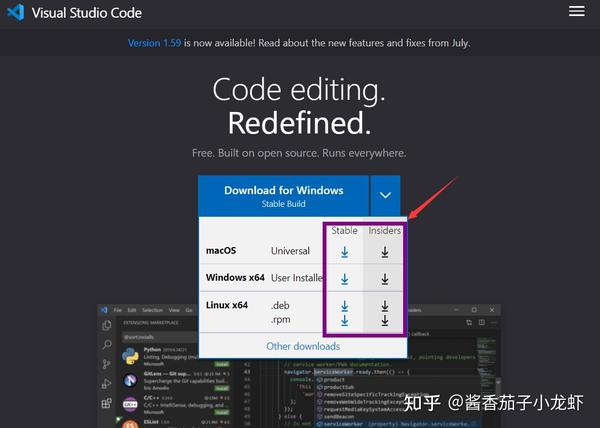 VSCode安装与汉化（超详细） - 知乎