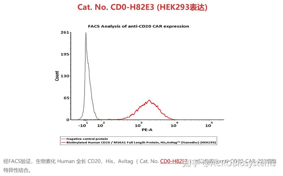 ACRO百普赛斯：靶向CD20、CD3——抗体药物研发的见证者，也是缔造者 - 知乎