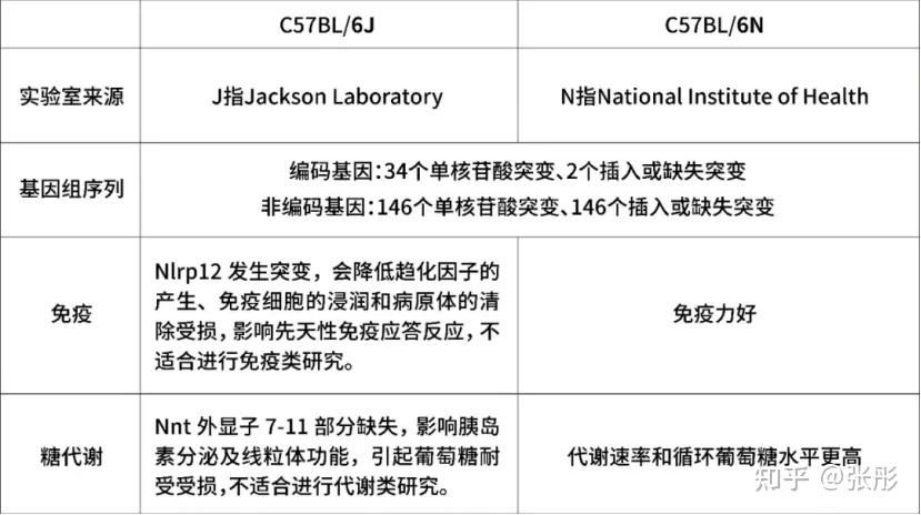 C57BL/6小鼠百科资料整理｜最全C57小鼠知识资料 - 知乎