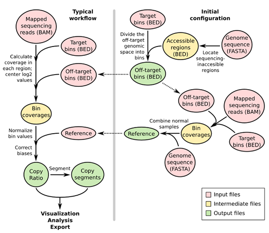 CNVkit：基因组拷贝数变异检测利器 - 知乎