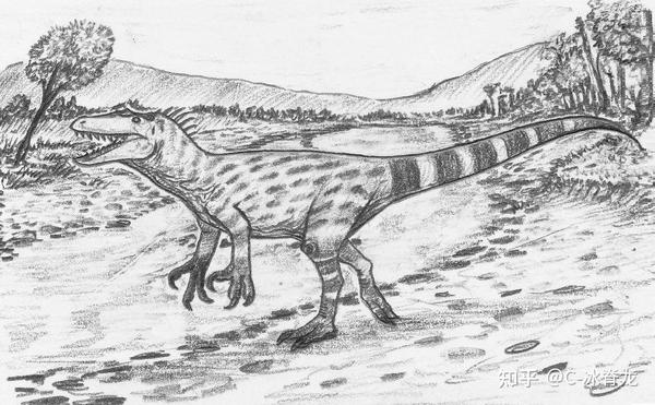 【神秘动物学】Kawuk - 知乎