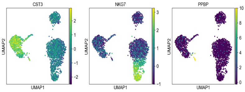 Scanpy 分析 3k PBMCs：降维与聚类 - 知乎