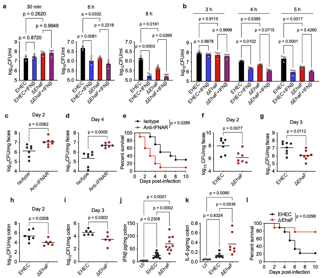 Nature Communications丨细菌自转运蛋白通过靶向转录因子 TFE3 损害先天免疫反应 - 知乎