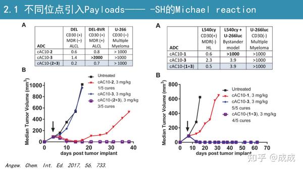 双载荷ADC的构建思路| Antibody-drug conjugates with dual payloads - 知乎