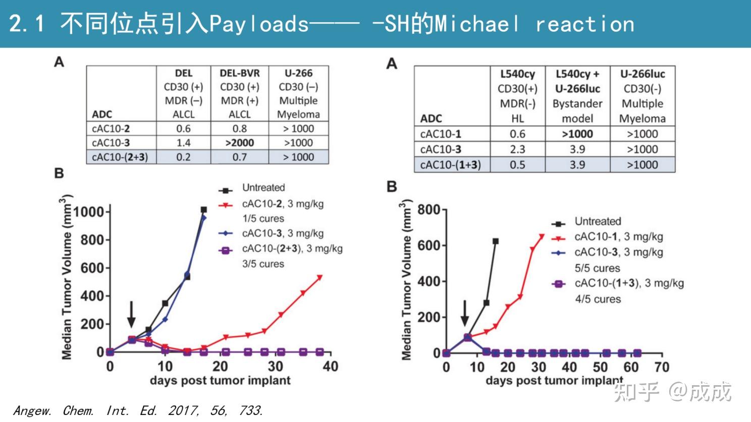 双载荷ADC的构建思路| Antibody-drug conjugates with dual payloads - 知乎