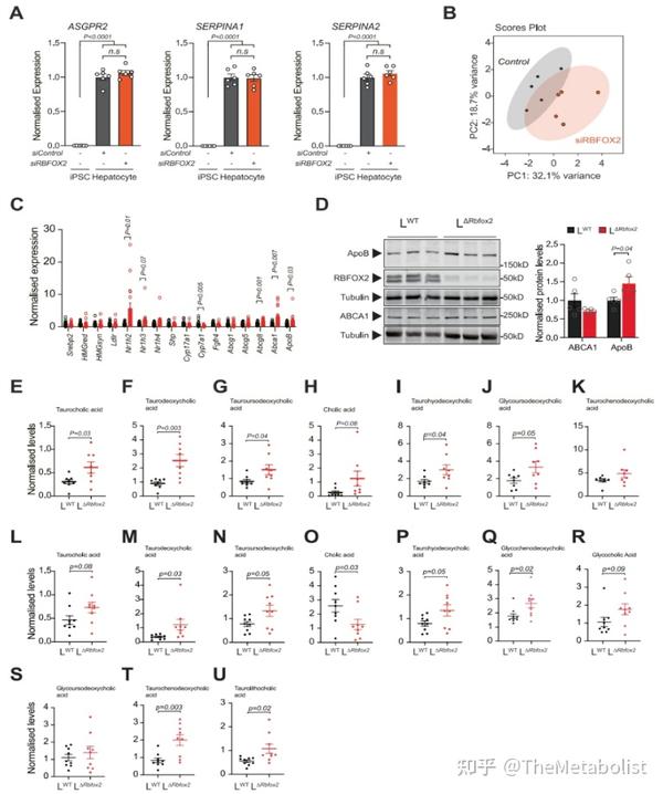 代谢学人--Nature Metabolism：胆固醇代谢紊乱，RBFOX2来理清 - 知乎