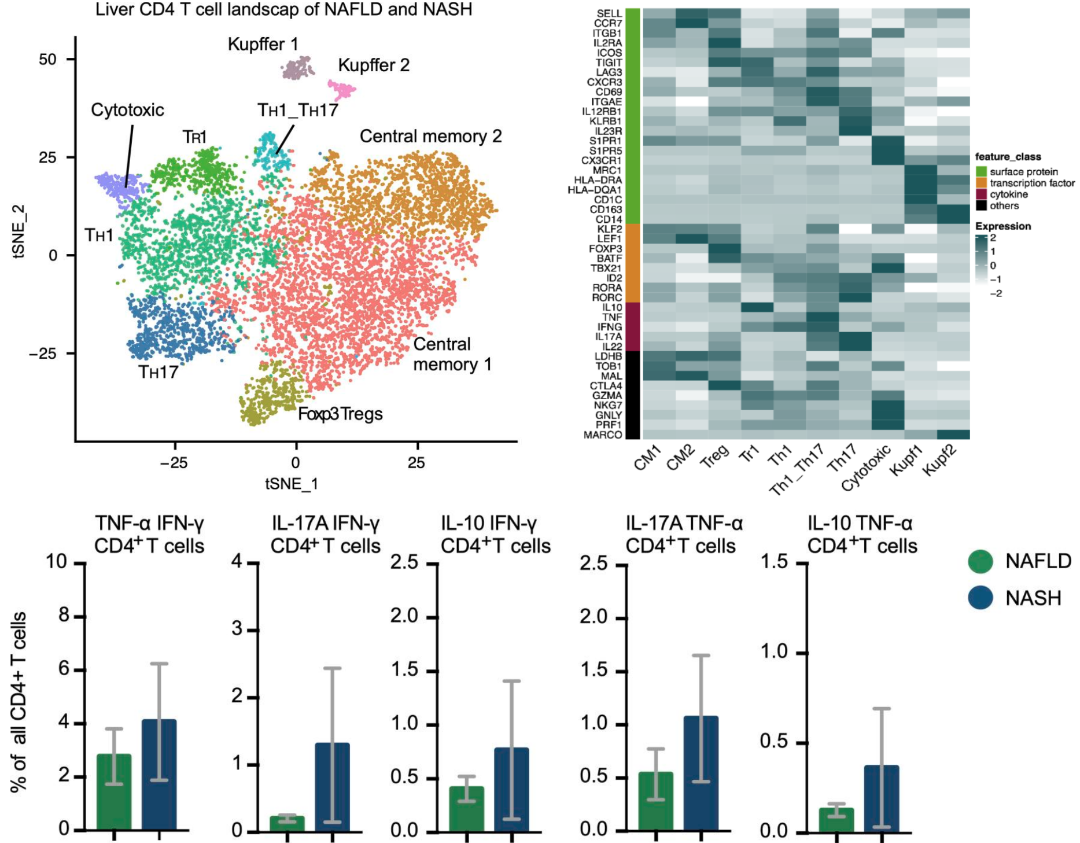 JCI insights︱德国汉堡大学赵宇等鉴定非酒精性脂肪肝炎患者中产生多种细胞因子的辅助T细胞病理功能 - 知乎