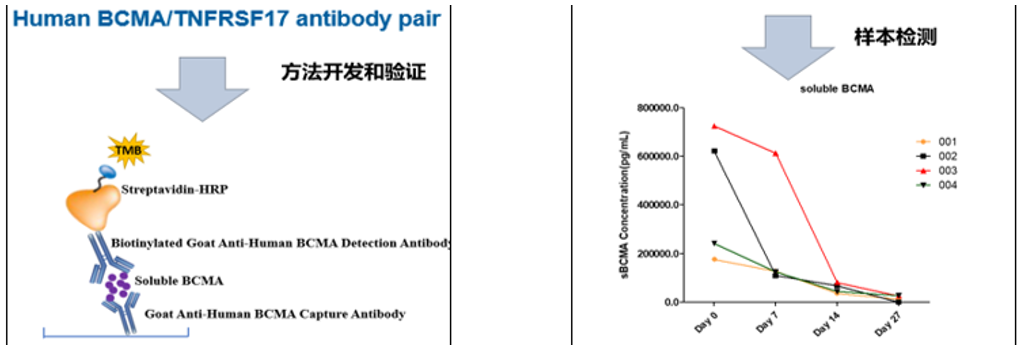 细胞治疗临床检测解决方案——PK/PD篇 - 知乎