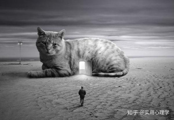 心理测试:第一眼看到什么,测试你的内心隐藏了多少人格? 知乎