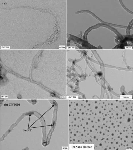 碳纳米管（CNTs）常见的表征方法 - 知乎