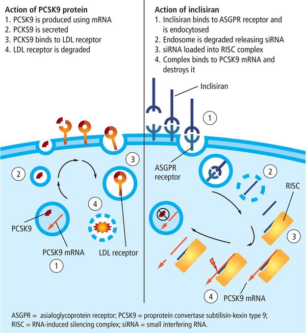 首款siRNA药物在中国获批上市：PCSK9长效降脂药物的开发历程 - 知乎