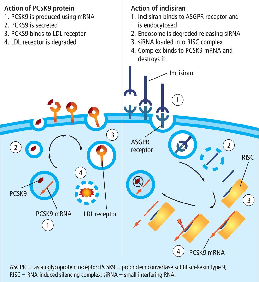 首款siRNA药物在中国获批上市：PCSK9长效降脂药物的开发历程 - 知乎