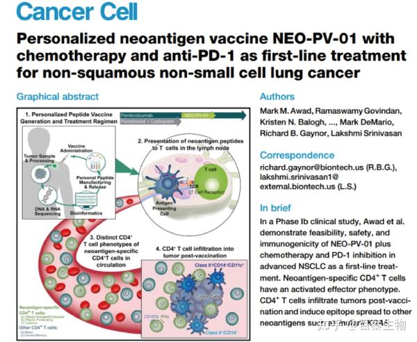文献解析 | 个性化新抗原疫苗NEO-PV-01联合化疗和PD-1抗体治疗非鳞状非小细胞肺癌 - 知乎