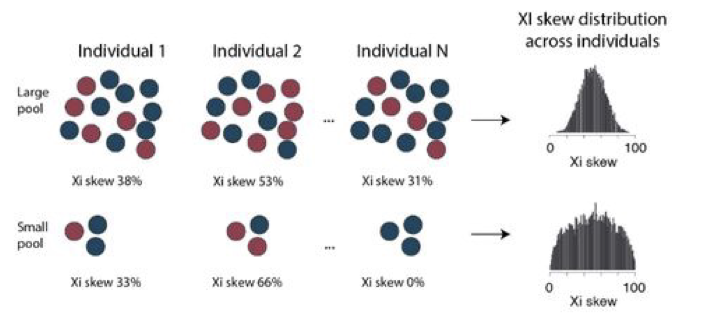 X染色体失活和胚胎发育 - 知乎