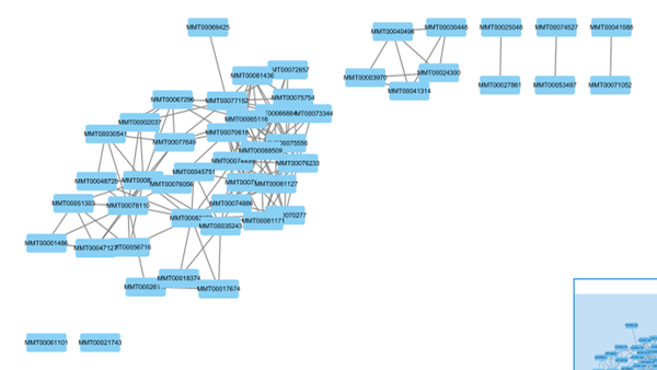 Cytoscape网络可视化 | 以WGCNA结果的网络可视化为例 - 知乎