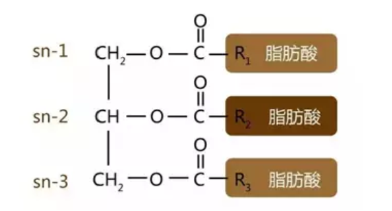 Sn-2 DHA是什么？是不是选择Sn-2 DHA的产品更好？ - 知乎