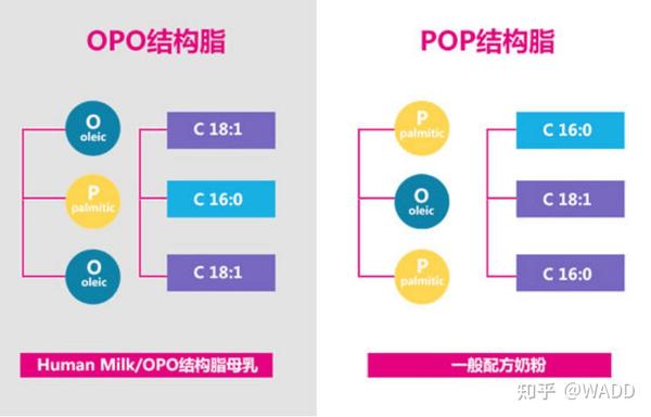奶粉里面的OPO含量越多越好吗？ - 知乎
