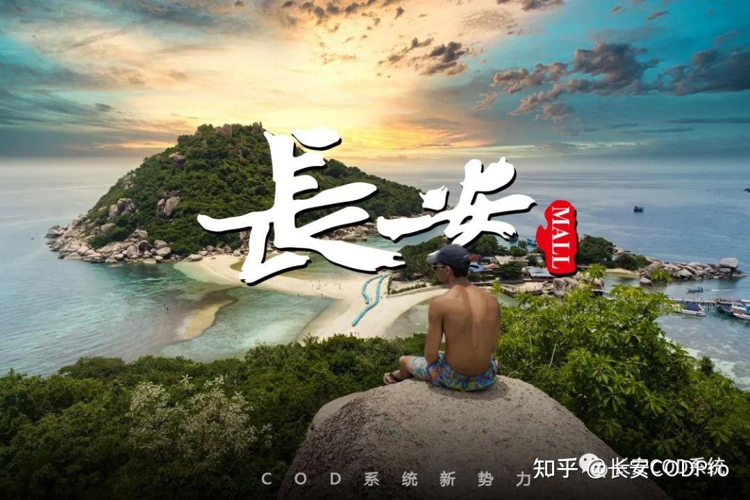 COD小知识：怎么使用CAPI+Meta像素，转化率增加15% - 知乎