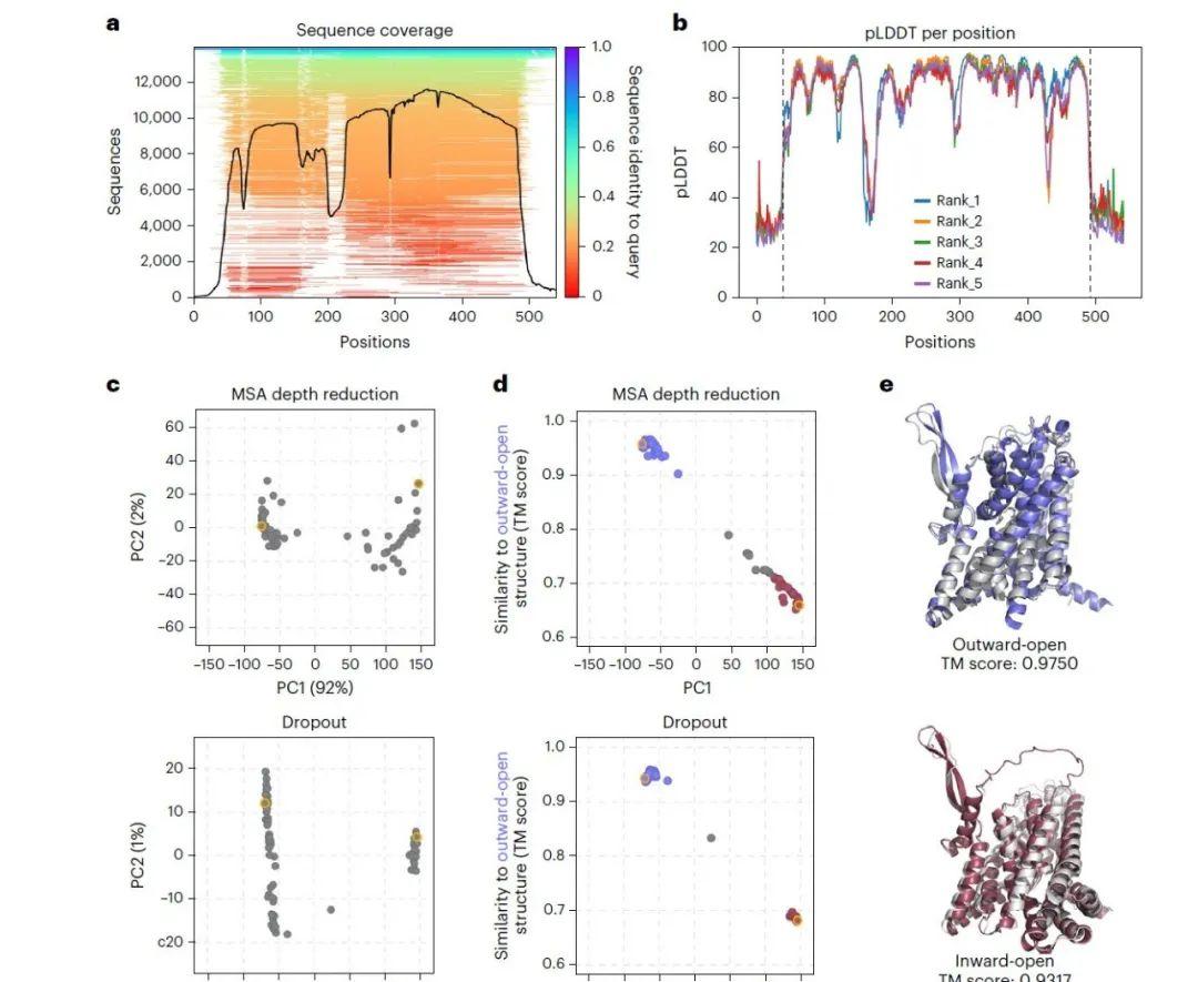 NatProtoc最新| ColabFold：让蛋白质结构预测触手可及 - 知乎