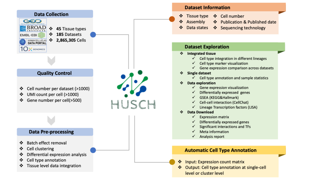 NAR｜王晨飞/李太文团队合作建立大规模人类多组织单细胞表达图谱数据库HUSCH - 知乎