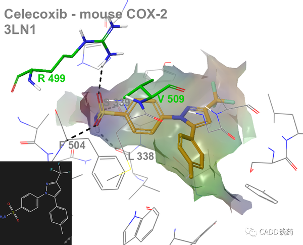 看两个选择性COX-2抑制剂 - 知乎