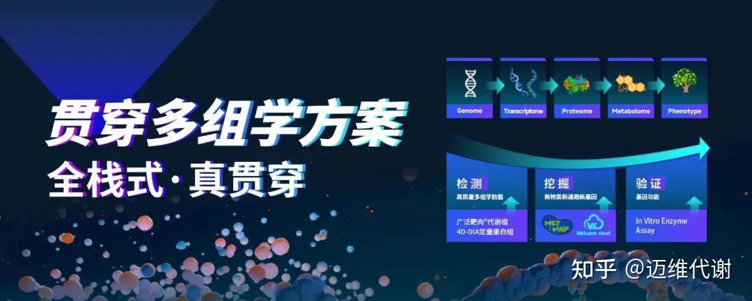 分享一个PPT+Excel绘制KEGG通路热图的方法 - 知乎