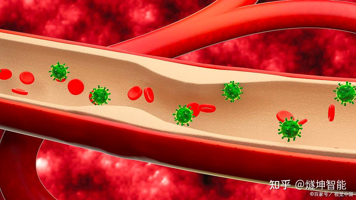 胆固醇守护神：探秘PCSK9蛋白，心血管健康的钥匙 - 知乎