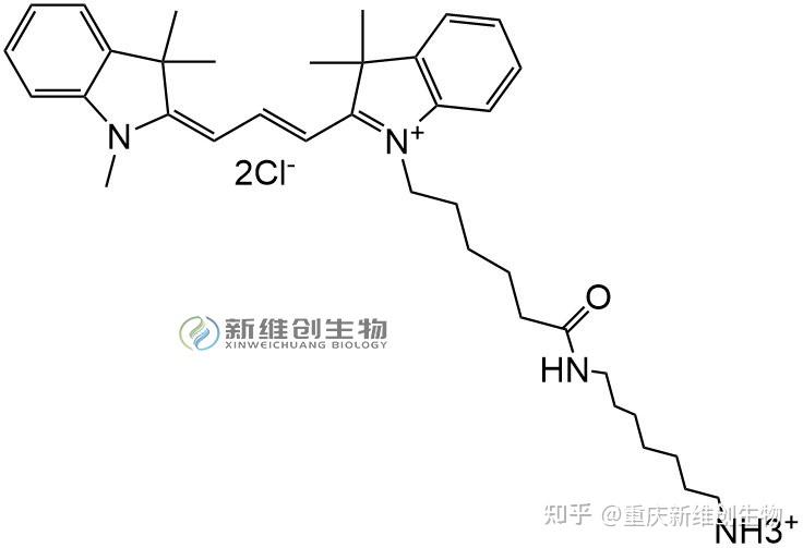 Sulfo-CY3-NHS与Sulfo-CY3-NH2结构、反应性的区别 - 知乎