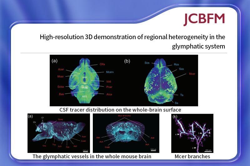 进展汇编：近期应用国产成像技术fMOST的14篇重要学术成果 - 知乎