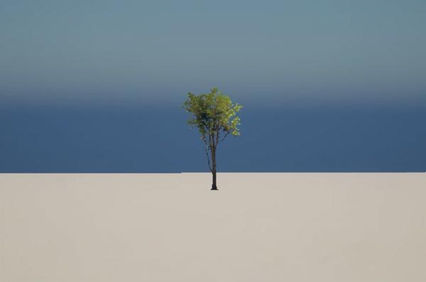 关于Speedtree导出的Billboard的一些探索...... - 知乎