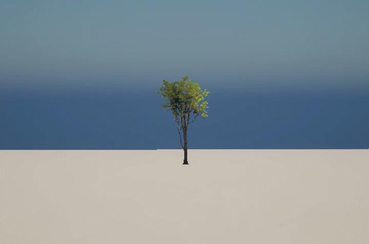 关于Speedtree导出的Billboard的一些探索...... - 知乎