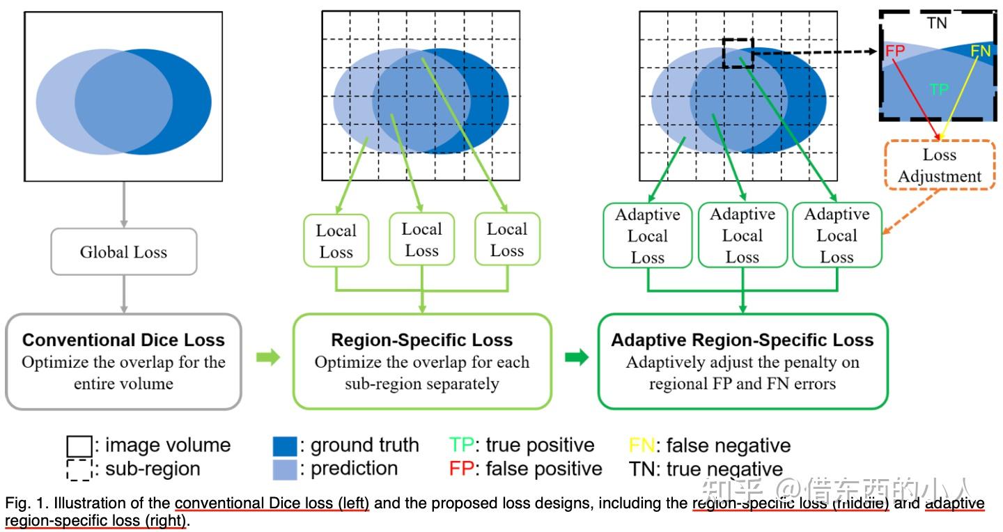 论文阅读3：医学图像分割《Adaptive Region-Specific Loss for Improved Medical Image Segmentation》TPAMI，2023 - 知乎