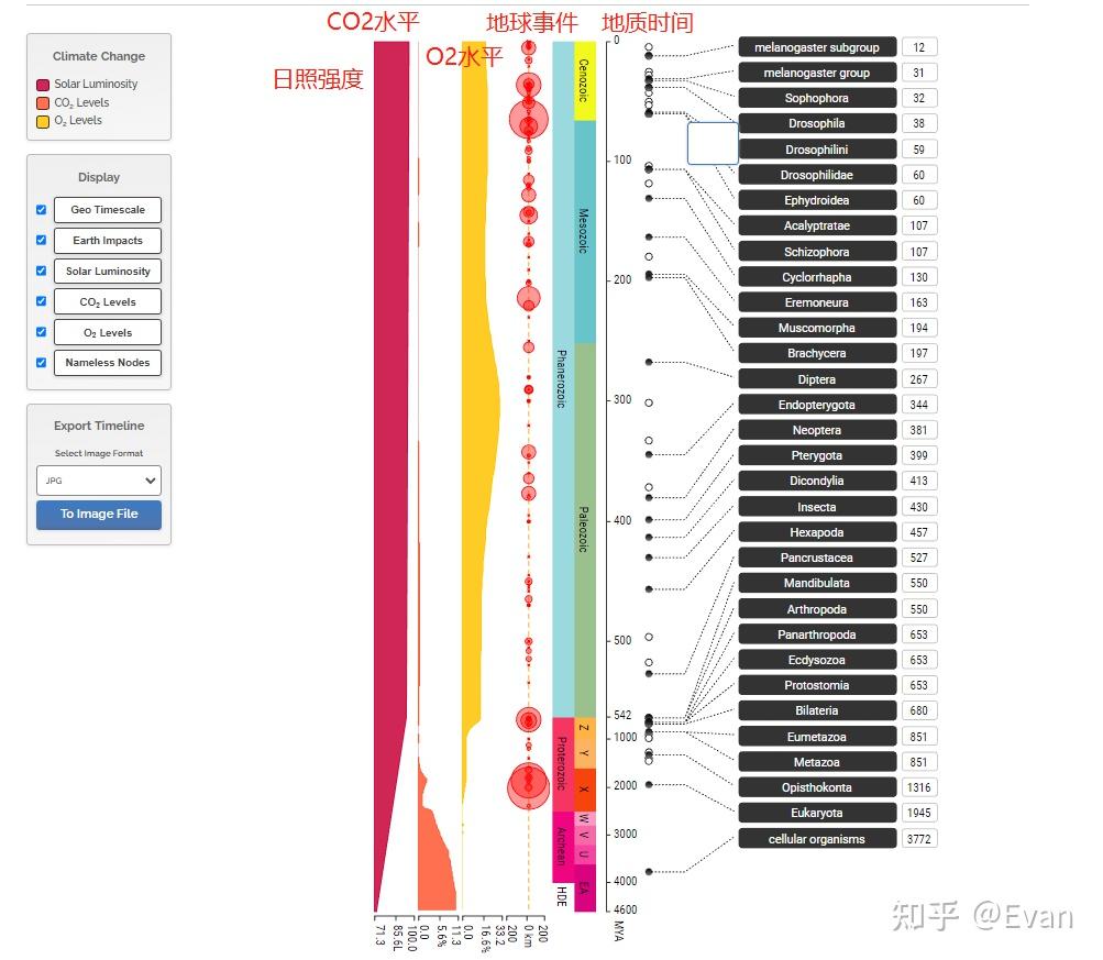 物种分化时间查询工具 - TimeTree - 知乎