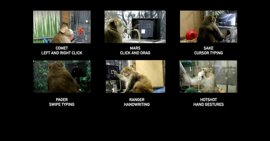 解密马斯克「Neuralink」2022最新进展，一文带你深入了解 - 知乎