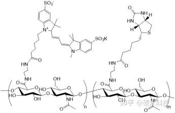 Cy3/Cy5/Cy5.5/Cy7/Cy7.5-HA-Biotin 荧光标记生物素化透明质酸 - 知乎