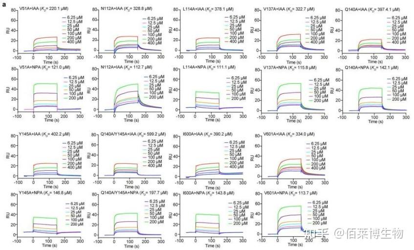 膜蛋白与小分子互作：SPR及ITC助力揭示生长素极性运输机制 - 知乎